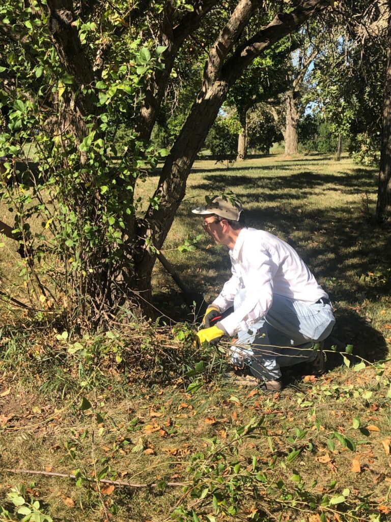 Volunteer - Kansas Landscape Arboretum